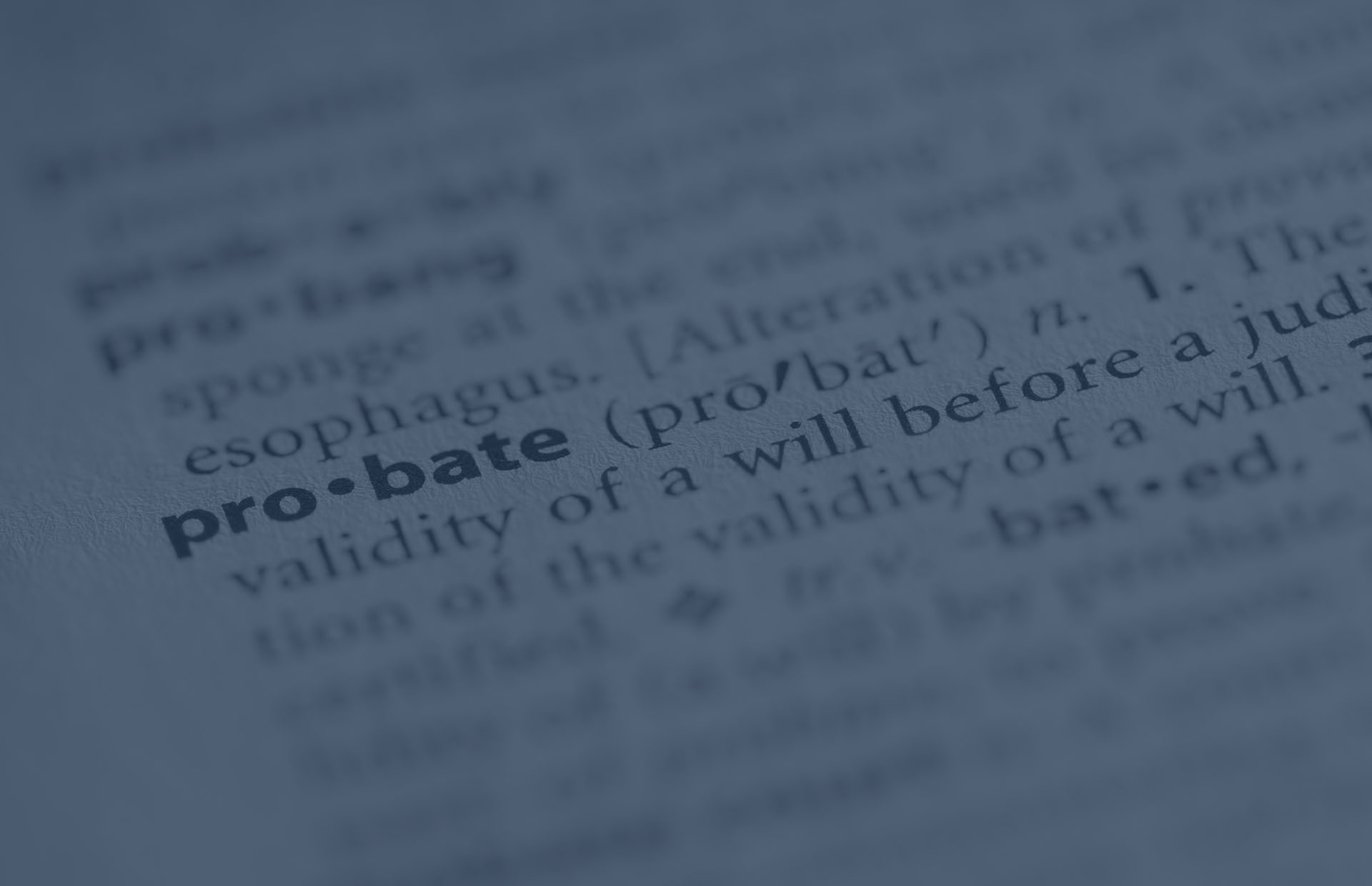 Steve Rasile Law – Don’t Get Even, Get Steven.